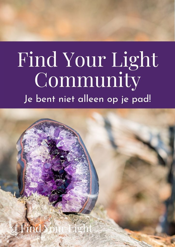 Ontdek je Human Design | Het boek dat je verder helpt! | Find Your Light